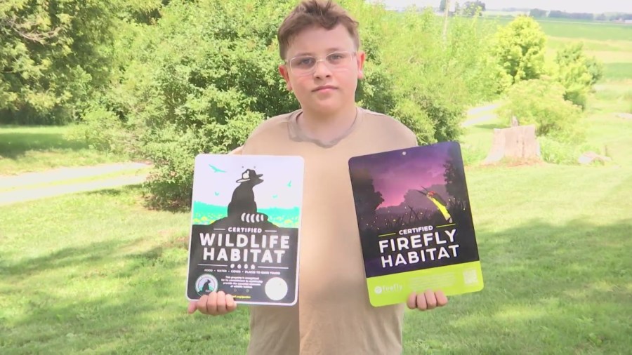 Boy with genetic disease discovers peace in nature via Junior Rangers program
