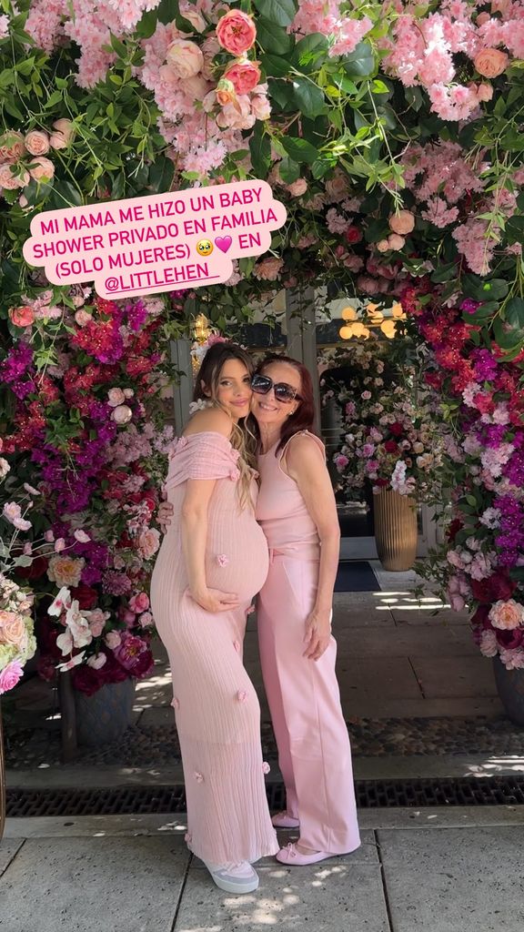 Lele Pons se alista para la llegada de su bebé con un íntimo baby ...
