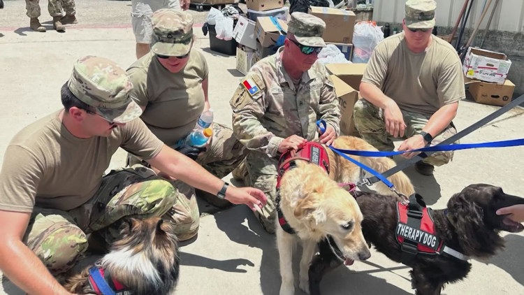 Houston therapy dogs bring comfort to disaster relief workers in ...