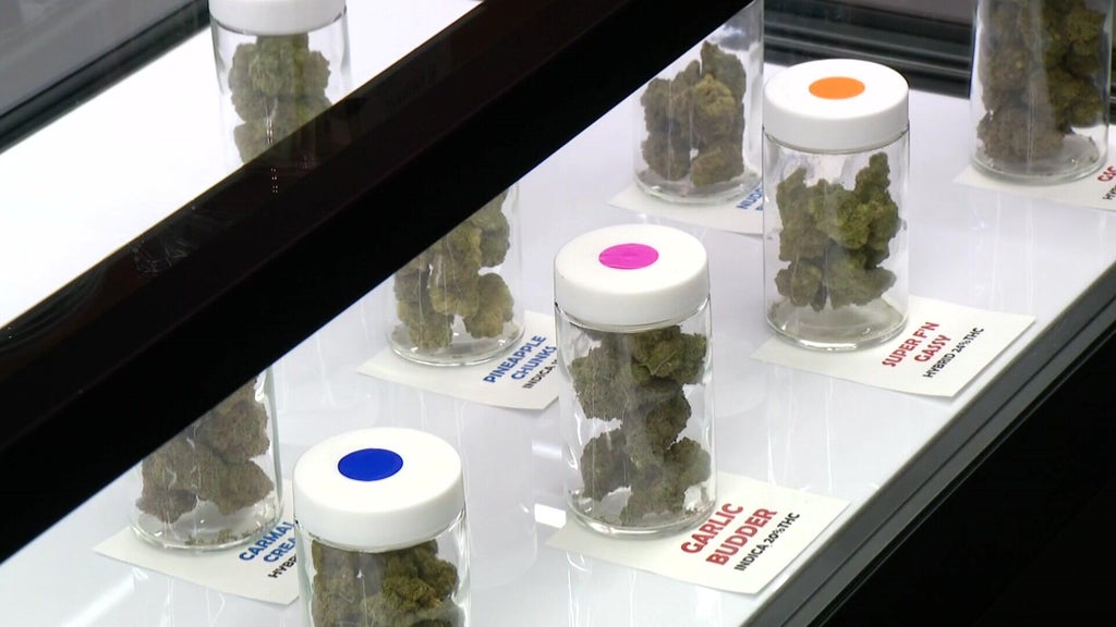 Southern Minnesota business hopes to be among first retail cannabis ...