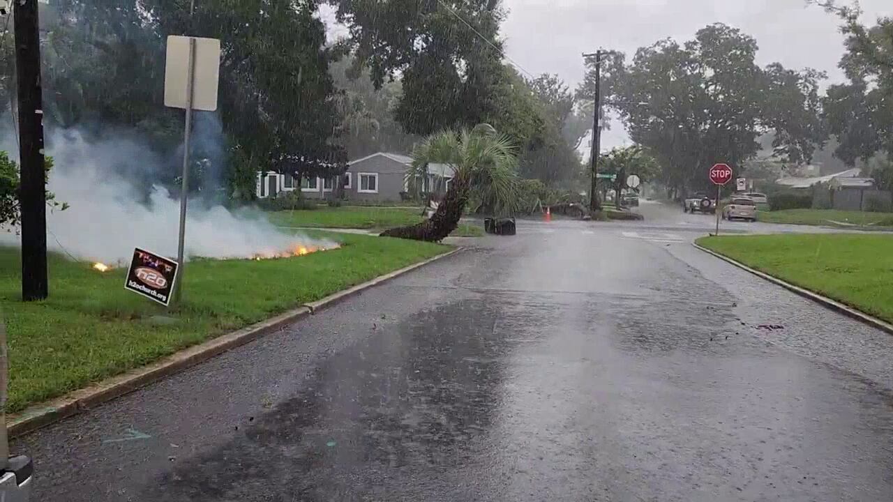 Powerline sparks fire & tree falls on car in downtown Orlando ...