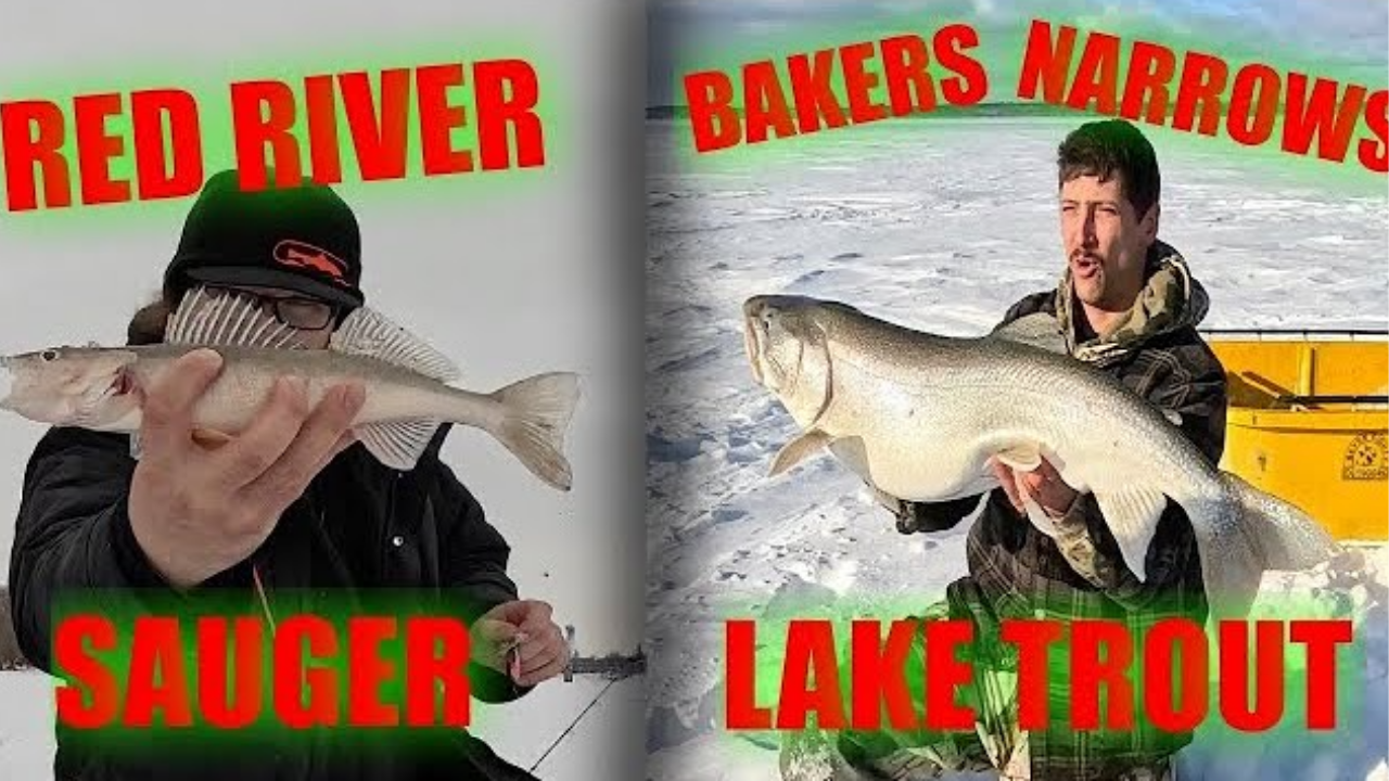 Manitoba Ice Fishing - Red River