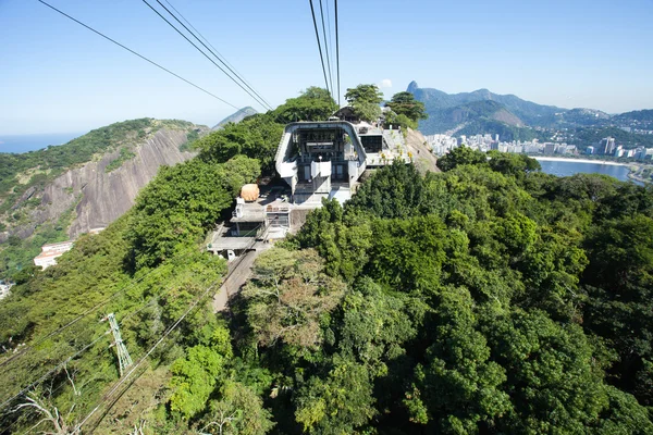 18 Secret Viewpoints in Rio’s Tijuca Forest