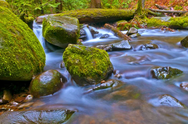 15 Hidden Waterfalls in Oregon’s Columbia Gorge