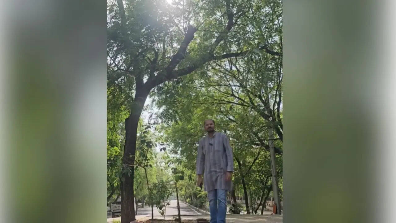 'Haunted Tree' In Delhi's Dwarka Might Be Hiding An 'Ancient Secret ...