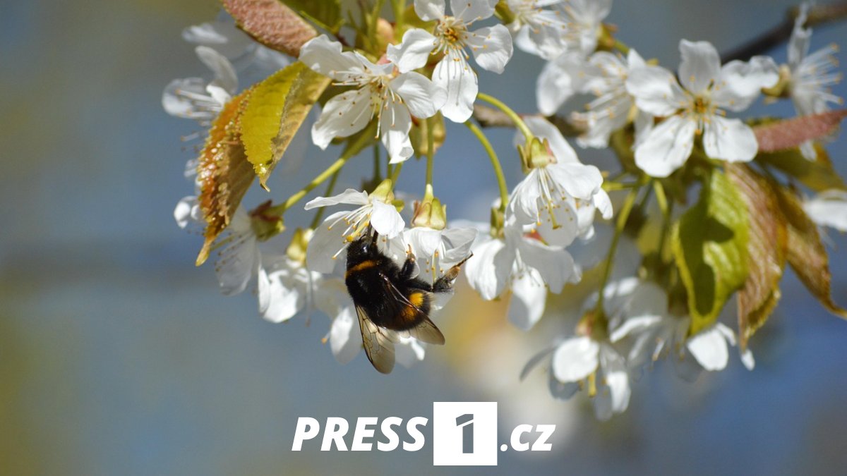 Počasí do příštího pondělí: Teploty porostou, pak přijde čtvrteční změna!