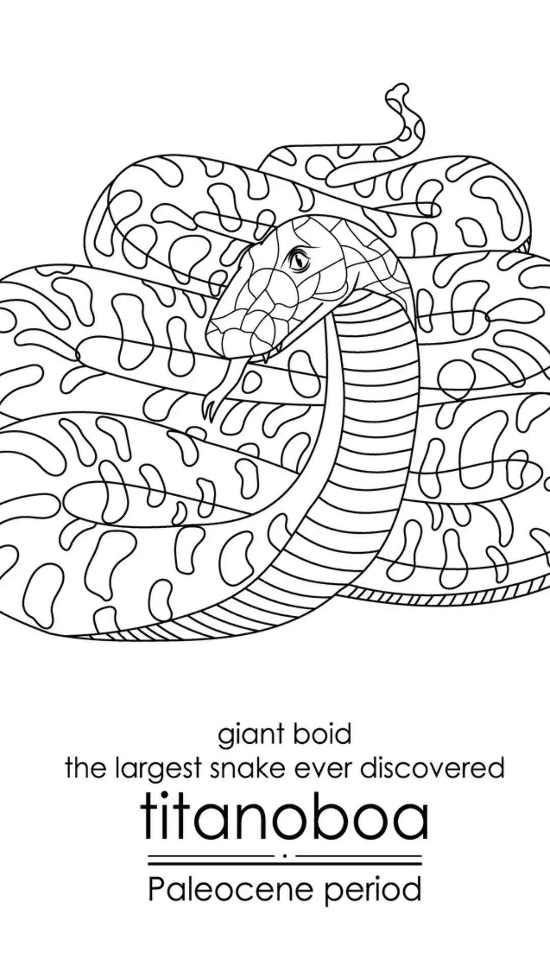 9 biggest snakes to have ever existed on Earth