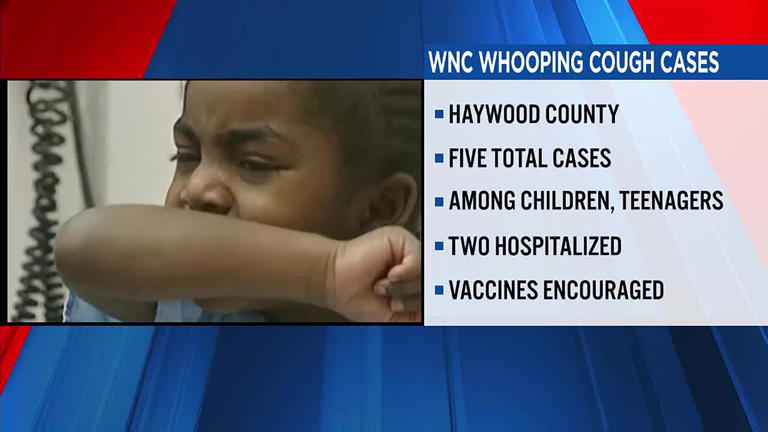 Five cases of whooping cough confirmed in Haywood County children, teens
