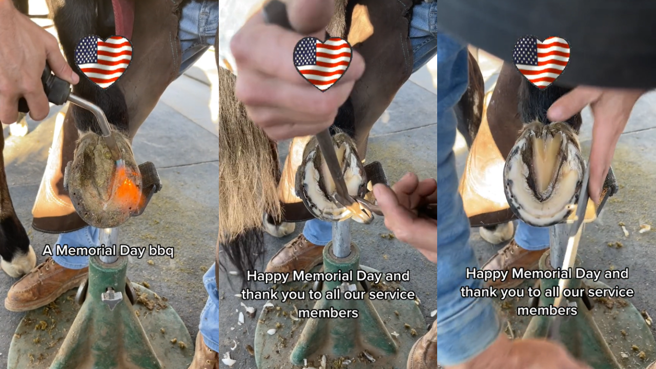 Farrier Life Behind The Scenes