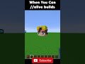 Minecraft Gets Weird When Builds Come Alive