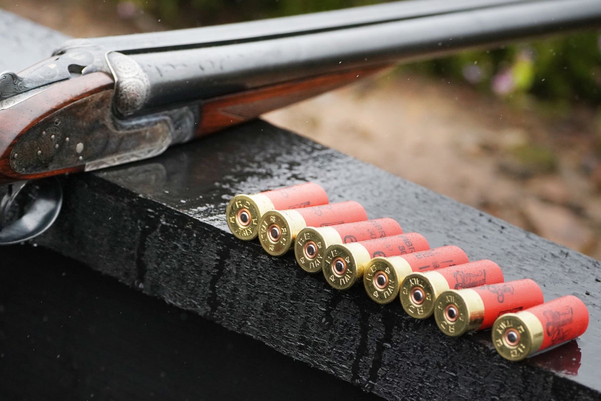 The amount of lead in bullets to be restricted in bid to reduce ...