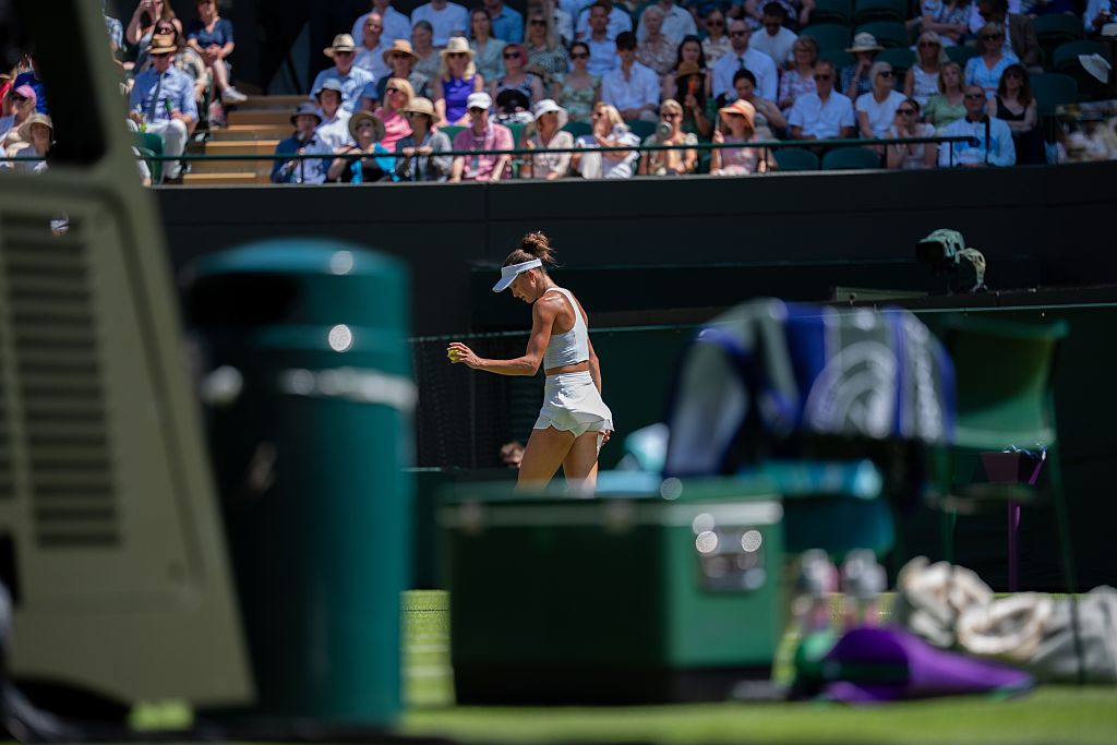 ‘Hunger Games: Sunrise On The Reaping' Cast Vs. Past Actors From ...