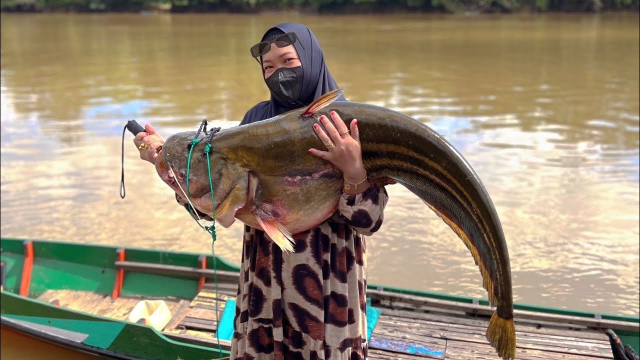 Monster Sungai Mentaya Hulu