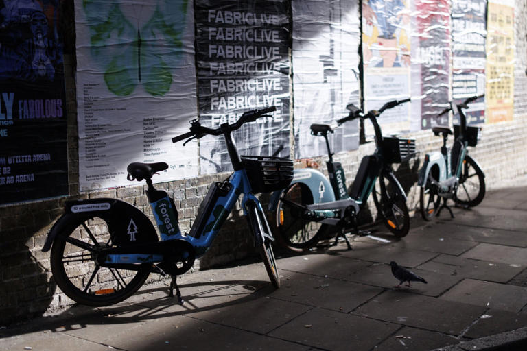 What Londoners think of the city's e-bike boom
