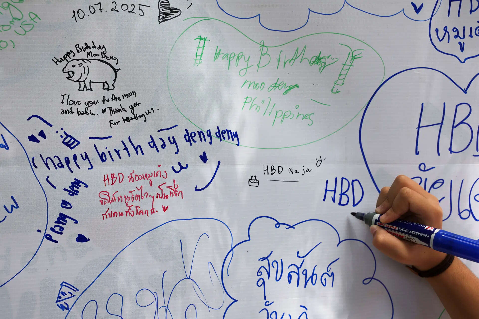 Moo Deng turns one with a 'hippo' birthday bash and 100 devoted fans at ...