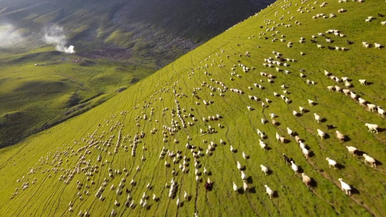 Stunning FPV drone flight over Gudauri highlands in Georgia