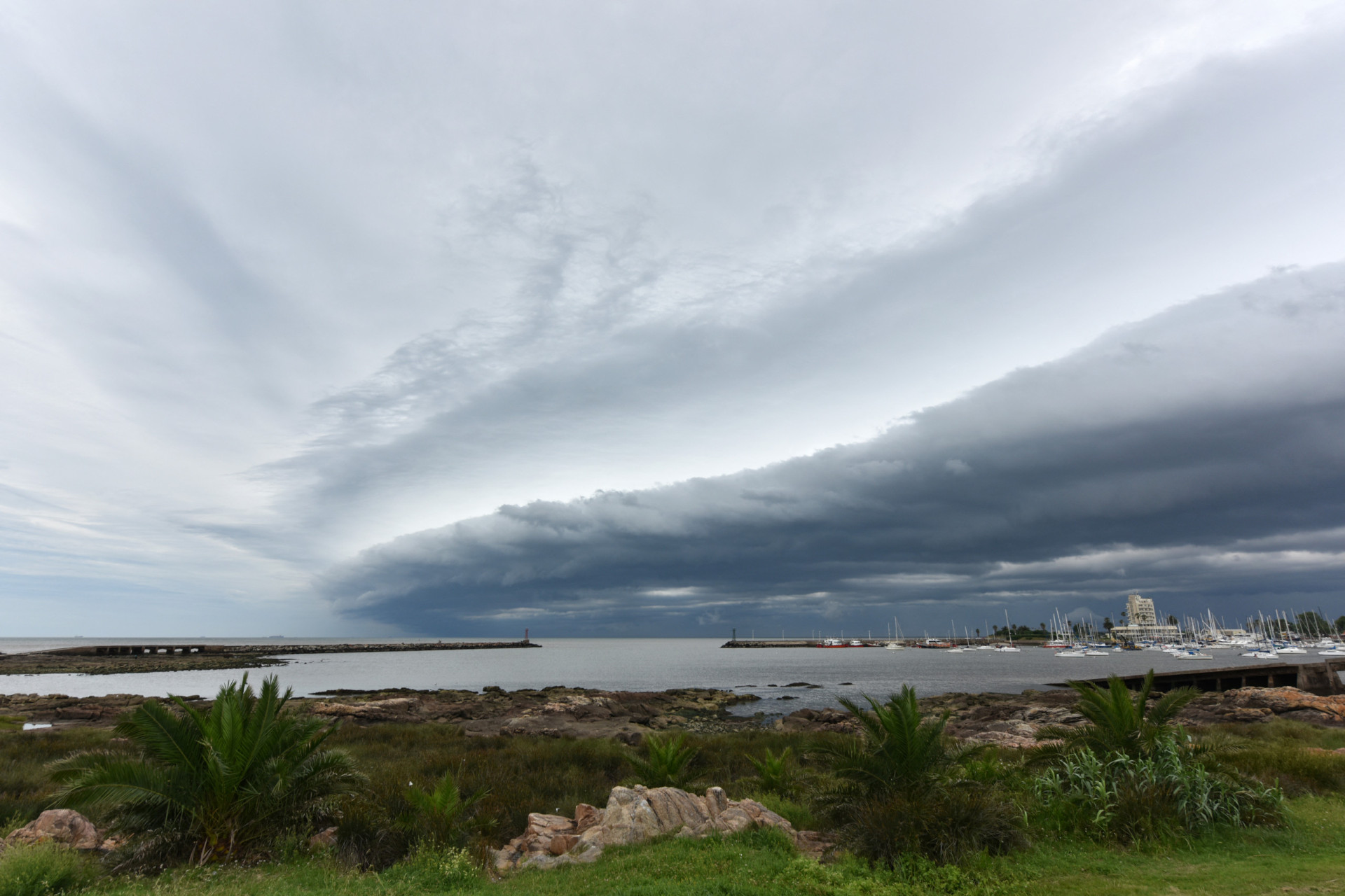 What is the rare ‘tsunami’ roll cloud phenomenon?