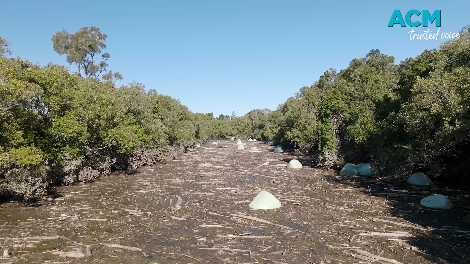 Flood debris ‘raft’ on Ghinni Ghinni Creek near Taree