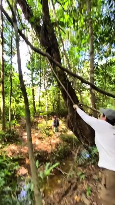 Man Attempts to Cross Water by Swinging Through Tree Branch and Ends up ...