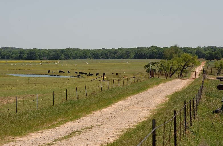 Trump administration seeks federal Alien Land Law
