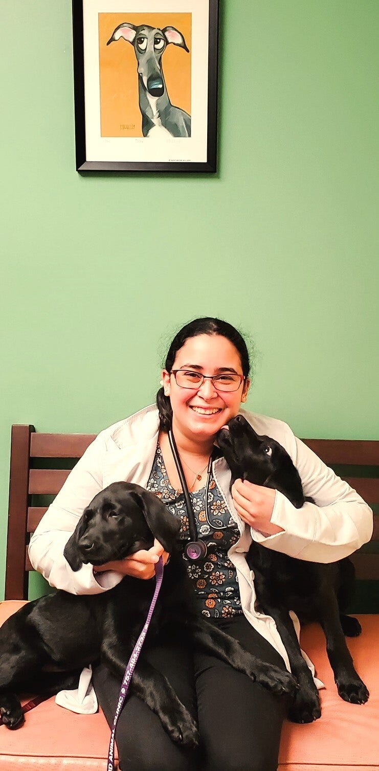 CodaPet, end-of-life care for pets at home, opens in Staunton