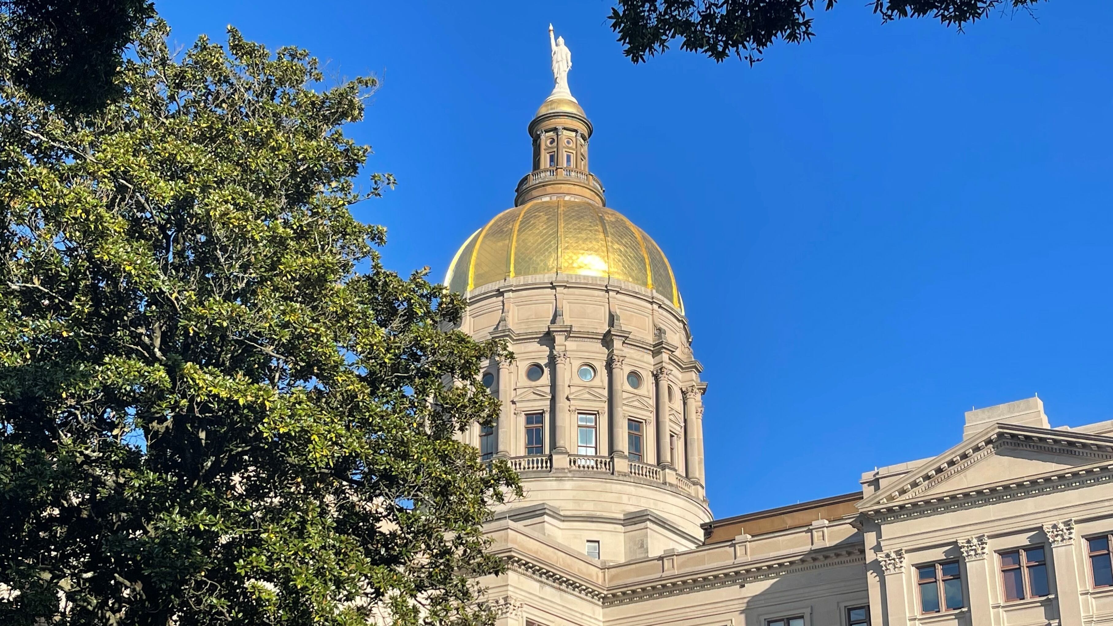 New faces, new procedures as Ga. lawmakers get to work