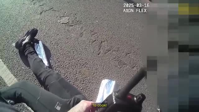 Violent phone snatchers caught by armed police after high-speed chase ...