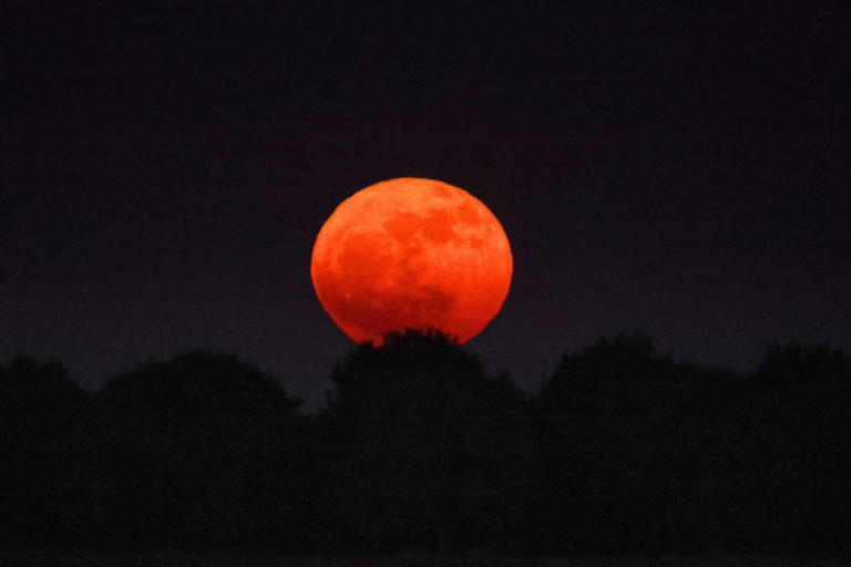 Everything you need to know about tonight's buck moon illusion