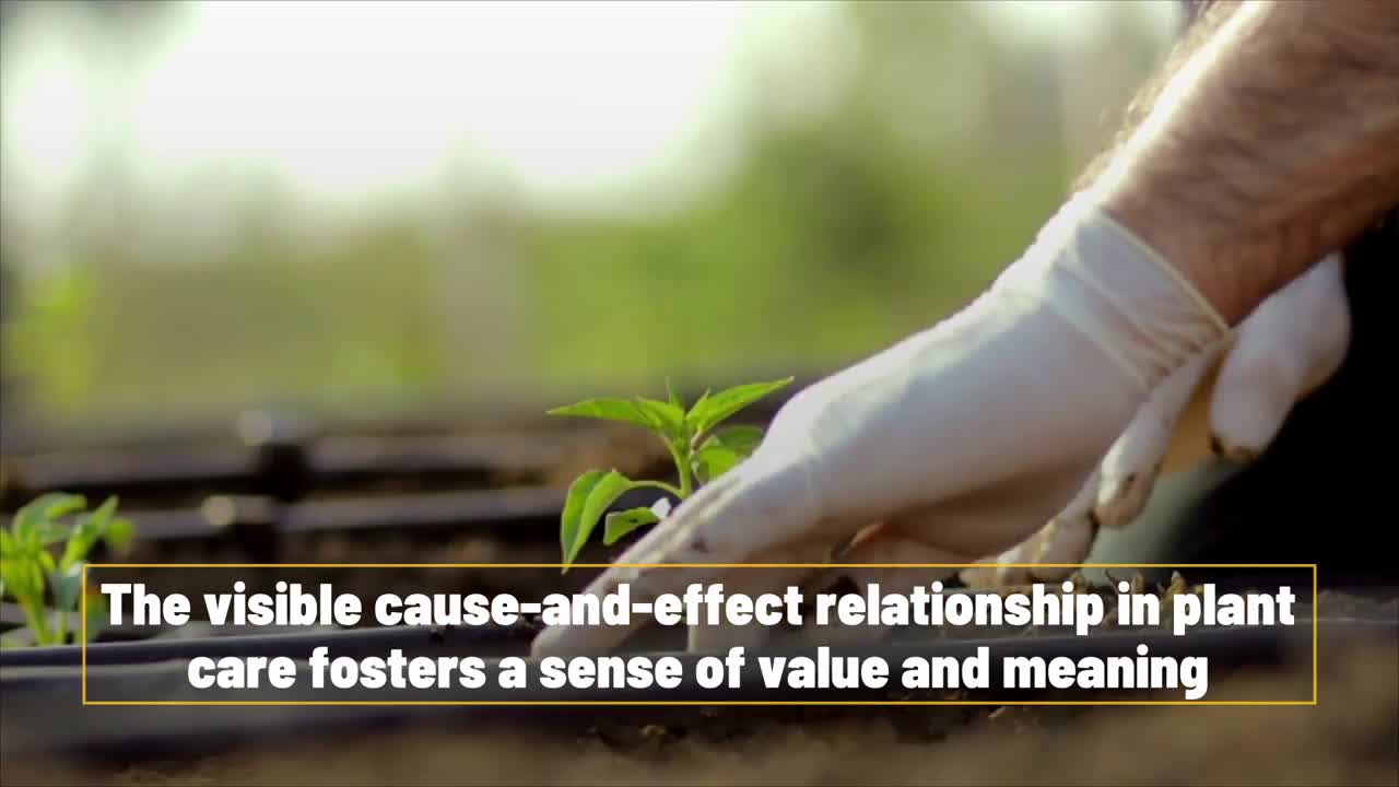 Why Is Gardening So Good For You?