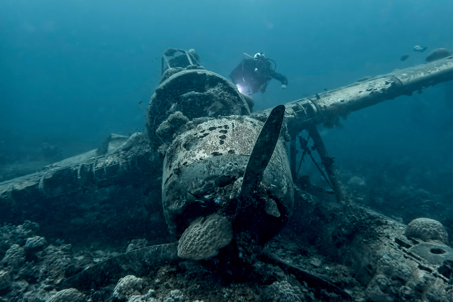 How Underwater Archaeology Brings Secrets to the Surface, From Lost ...