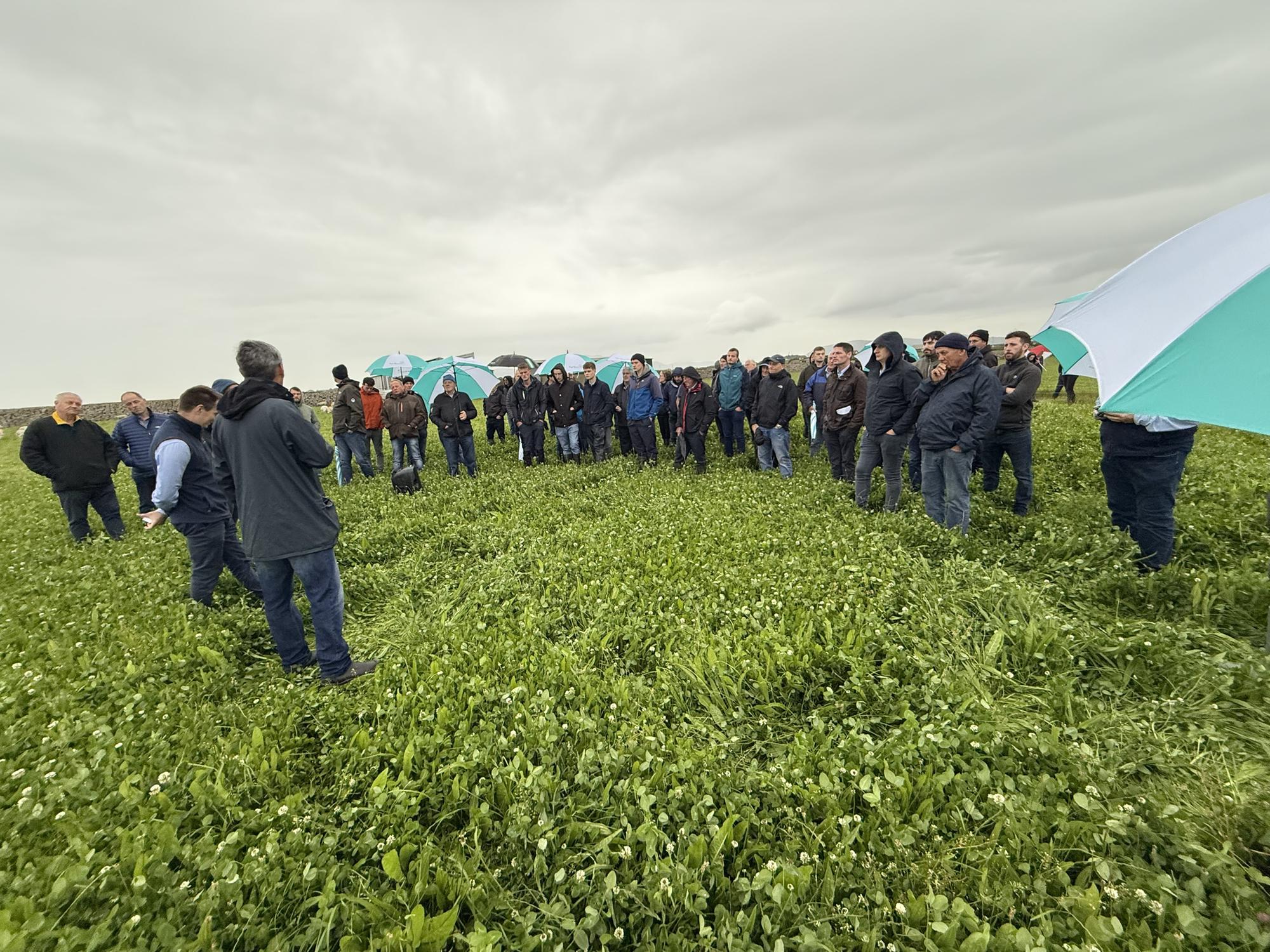 Large turnout at GrassCheck farm walk in Kilkeel