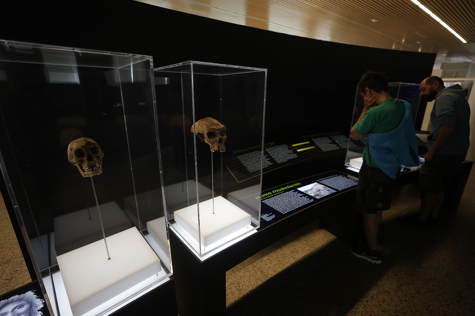 Archeologists uncovered remains of the oldest human ancestor in Western ...