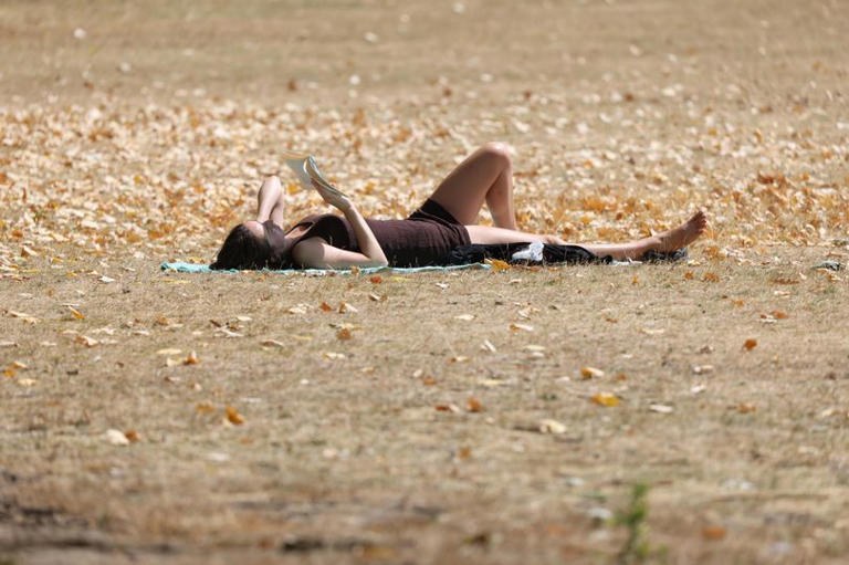 Map reveals areas where heatwave officially starts today - including in ...