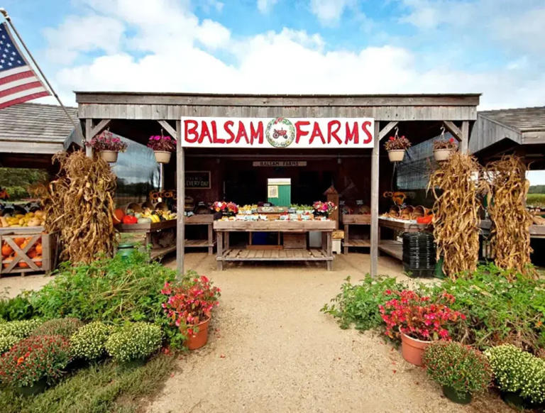 A Beginner's Guide to the Hamptons, According to a Local James Beard ...