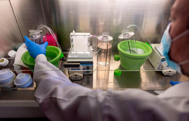 Duke HIV scientist searches for funds after Trump ends landmark vaccine ...