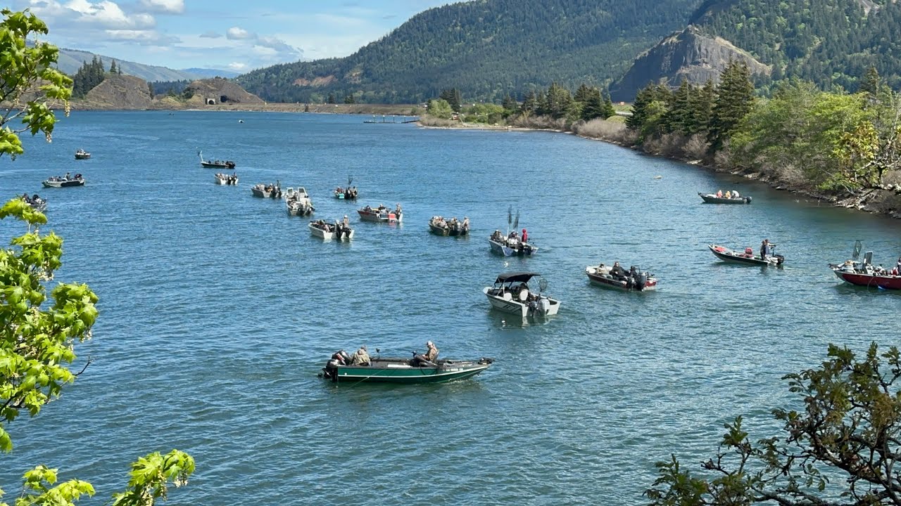Spring Salmon Fishing; Upper Columbia River