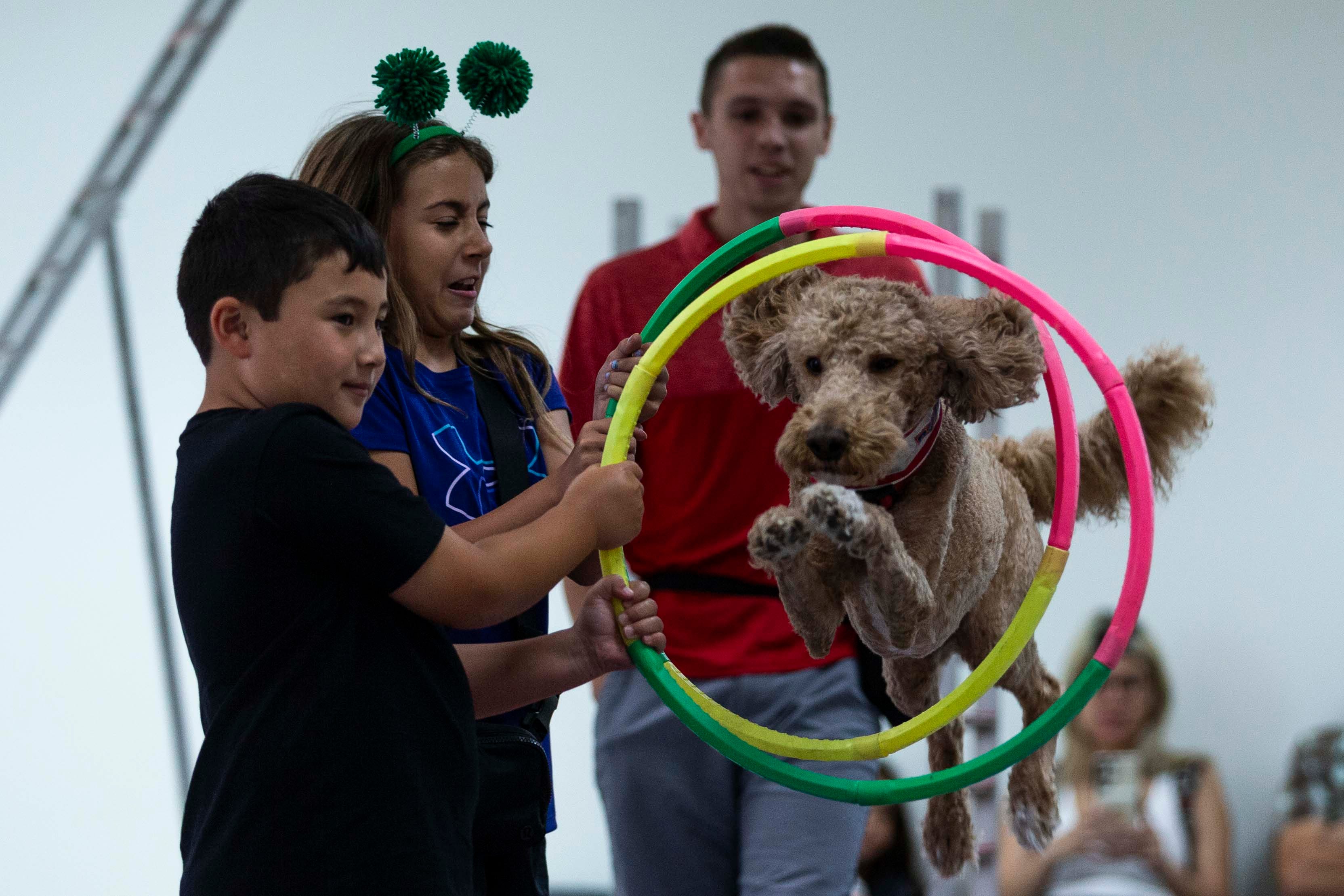 Looking for something to do this weekend in the Rockford area? Here are ...