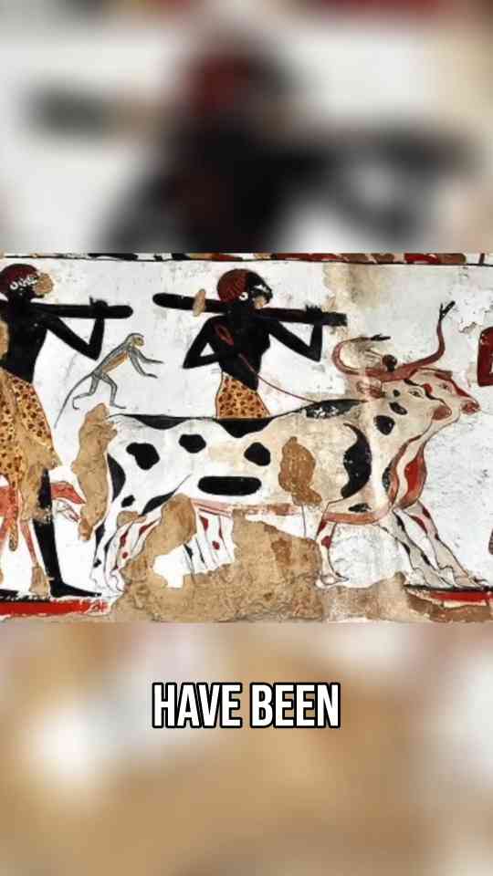 Ancient Animal Bones - Discoveries from the Past