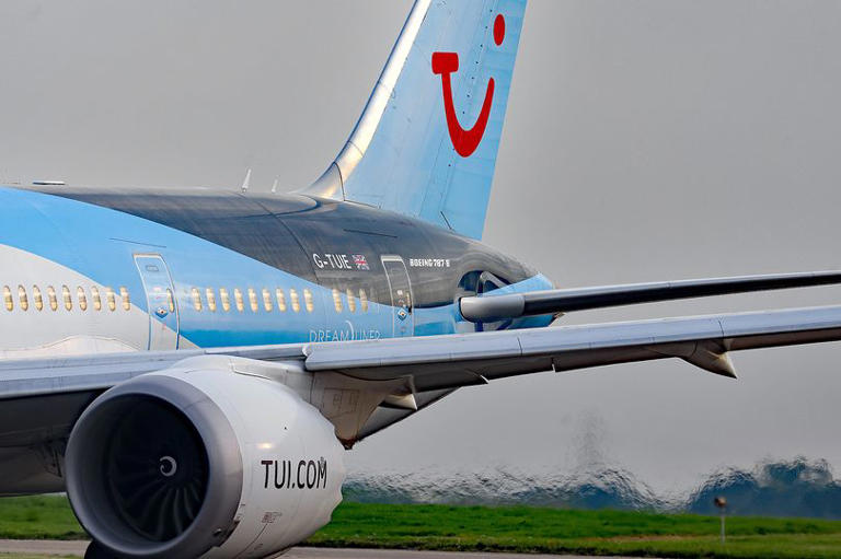 Online check in rules for Ryanair, Jet2, easyJet, TUI and British ...