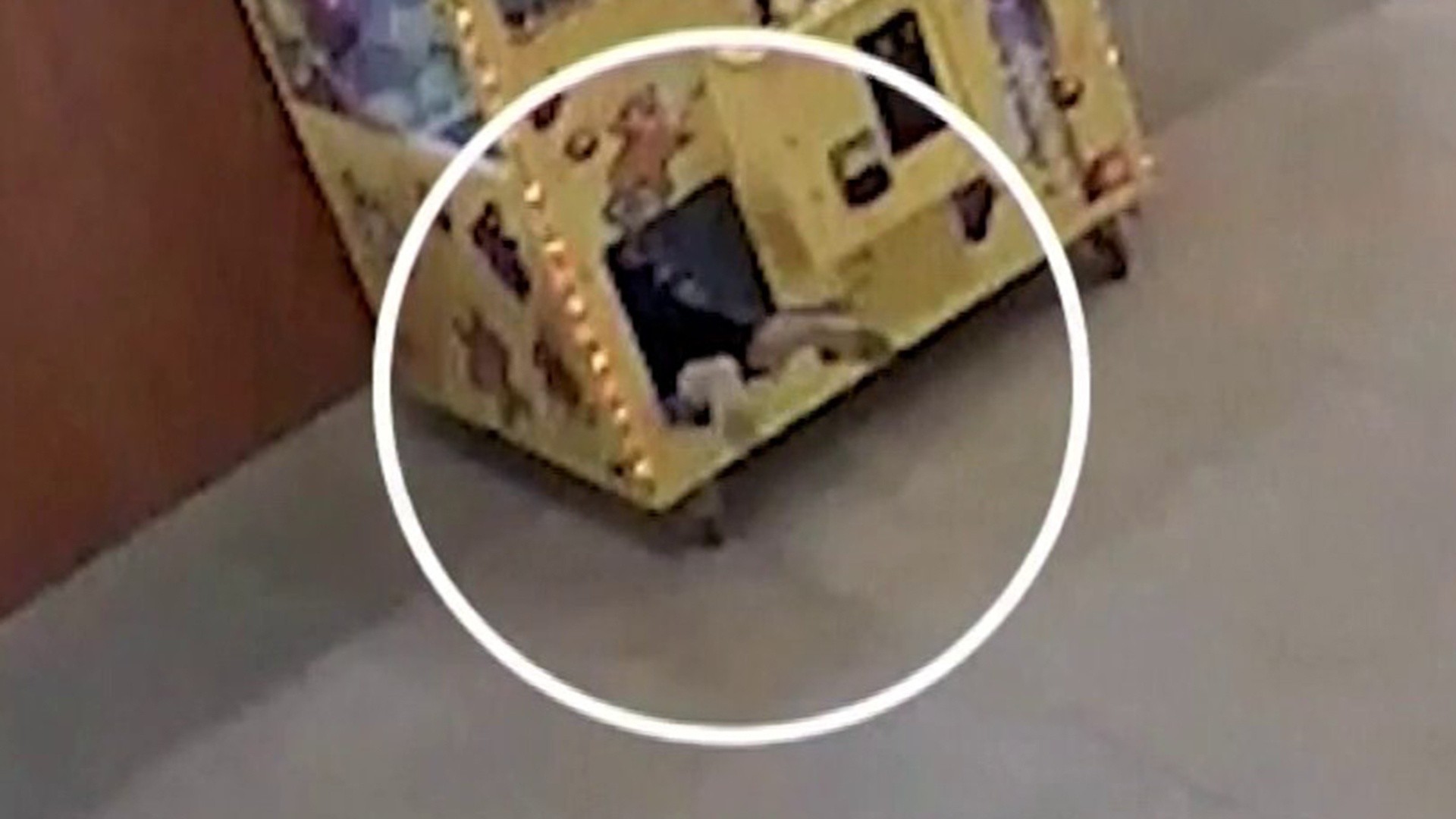 Boy Gets Stuck in Claw Machine After Climbing in for Prize