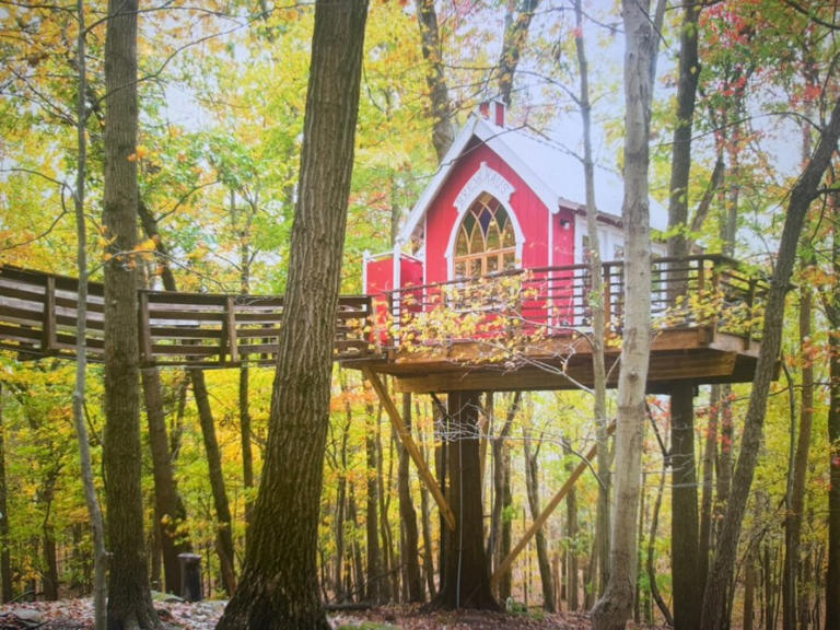New luxury treehouse opens in Northeast Ohio