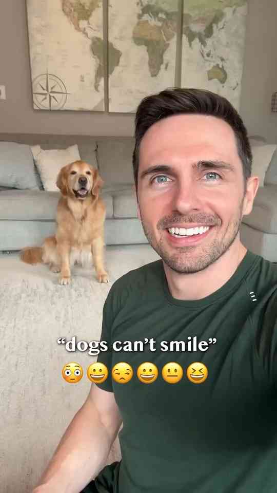 "Dogs Can’t Smile!" Debunking the Myth About Dog Expressions