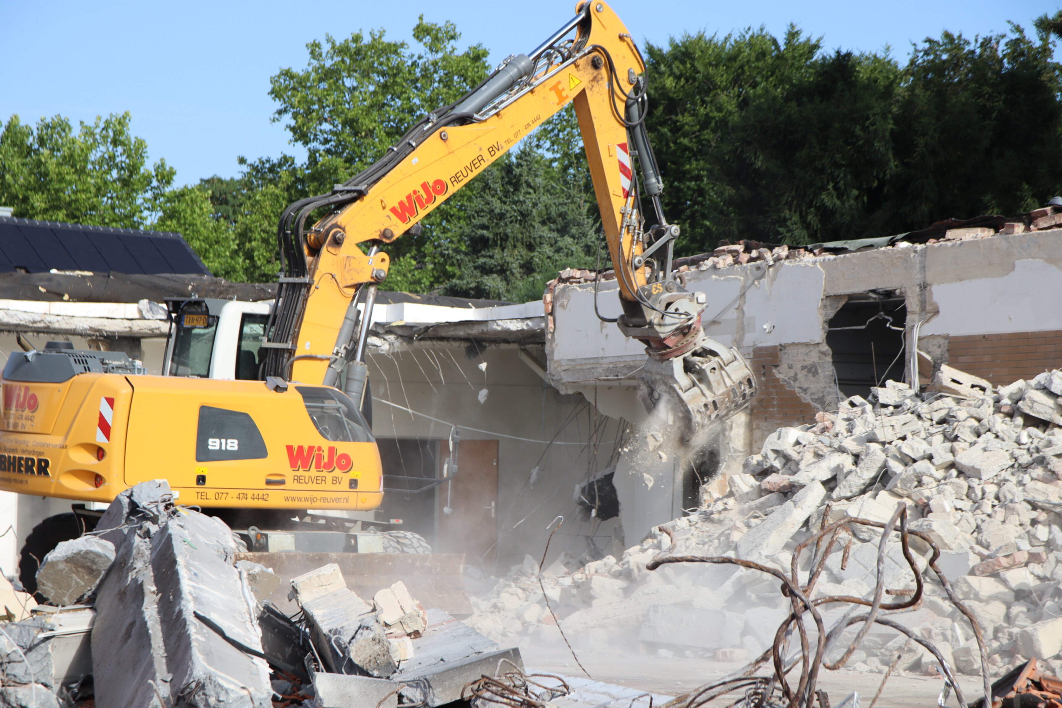 Why do animals have such different lifespans?