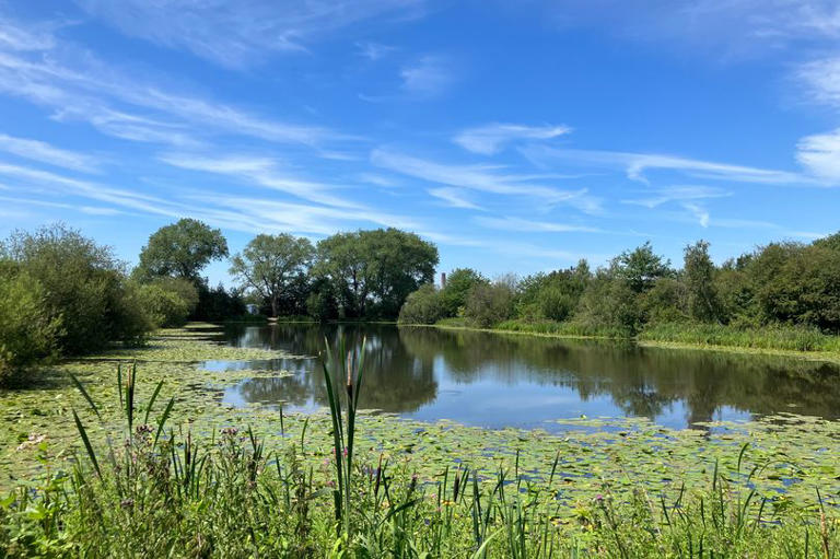Stockport could get hundreds of new homes in massive estate around ...