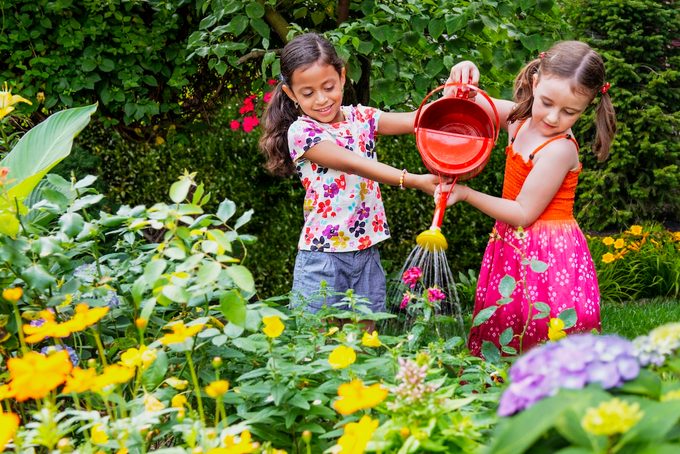 10 Container Garden Watering Tips