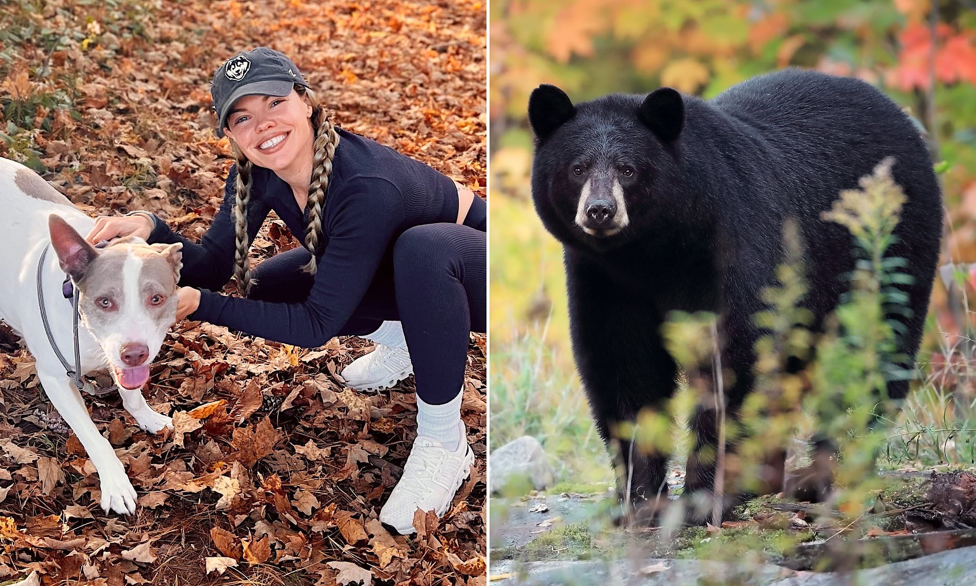 Female hiker reveals incredible trick she used to fight off bear in ...