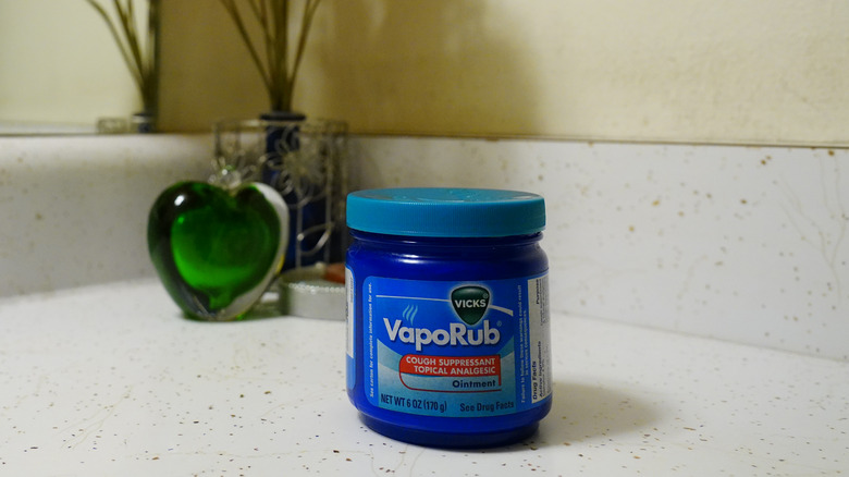 These Common Pests Don't Stand A Chance Against Vicks Vaporub