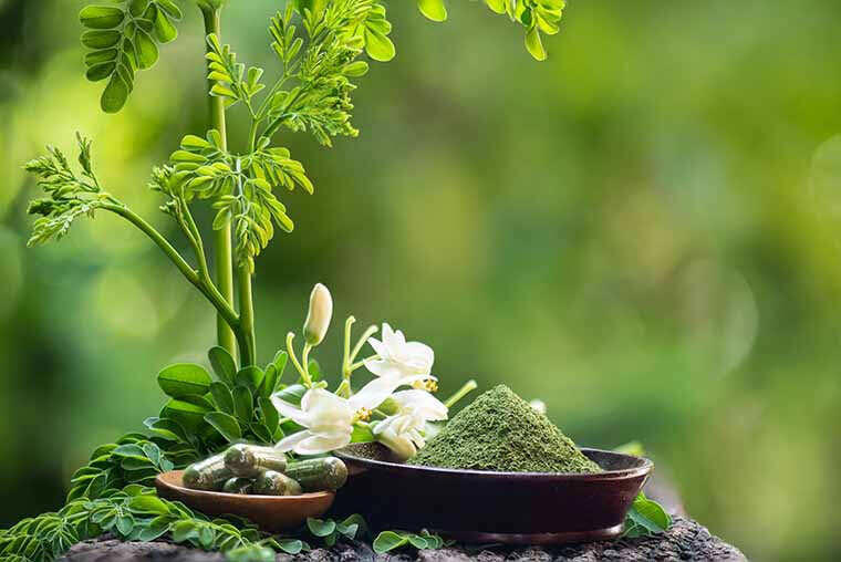 10 Benefits Of Moringa For Health