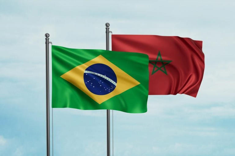 Morocco, Brazil trade reaches $3 billion in 2024
