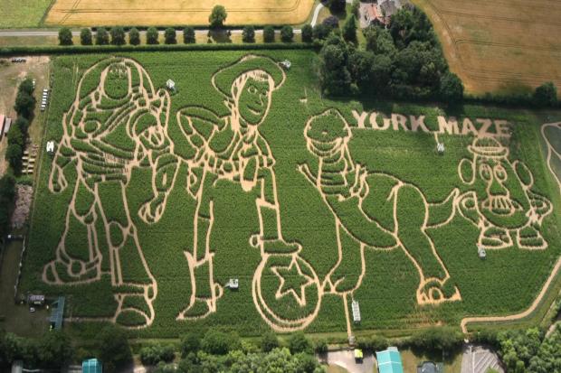 ‘We’ve become a fixture of people’s childhoods’: York Maze reveals 2025 ...